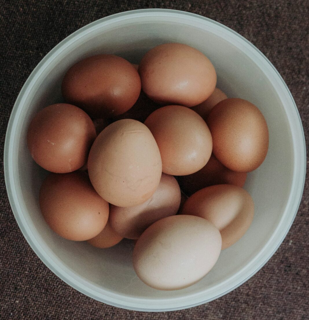 Egg From the Roman Age Still Has Its Yolk and Whites - History Chronicle