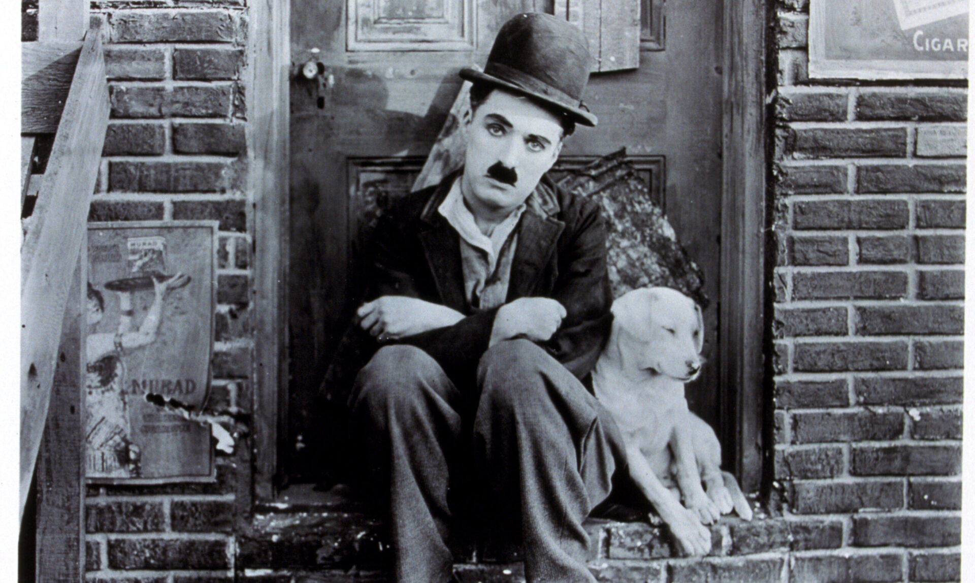 Did Charlie Chaplin Enter the Charlie Chaplin Look-A-Like Contest and ...