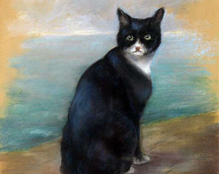 Do You Know the Story About Unsinkable Sam, The Cat Who Survived Three ...