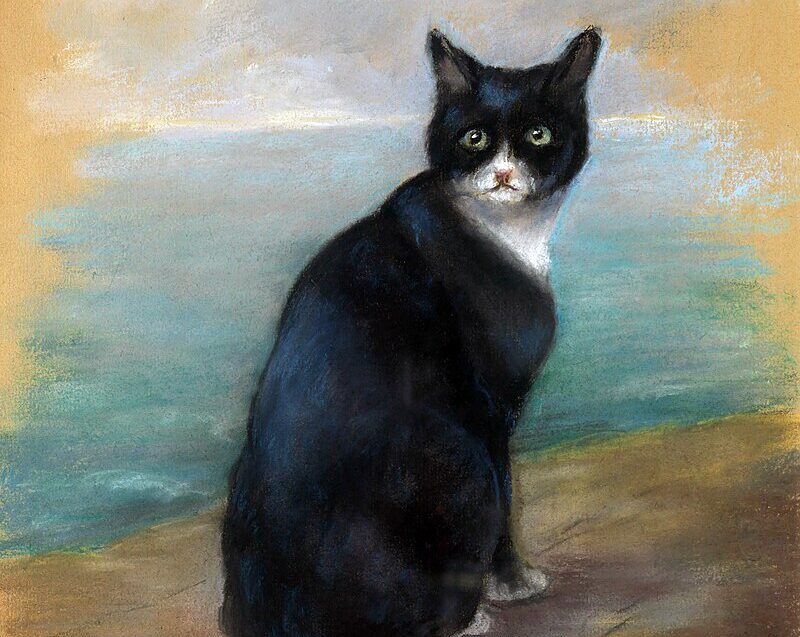 Do You Know the Story About Unsinkable Sam, The Cat Who Survived Three ...